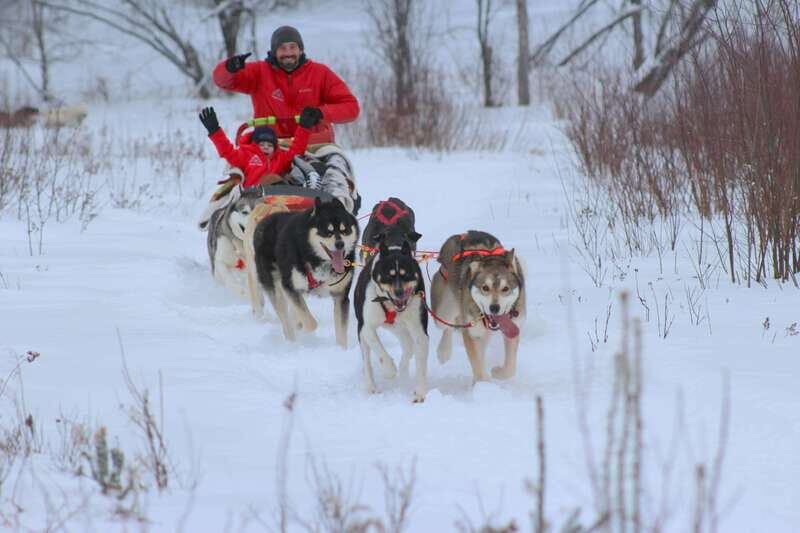 Mont-Tremblant: Dogsledding Valley Adventure - Analyzing the Value and Experience