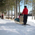 Mont-Tremblant: Guided Dogsledding Tour with Hot Chocolate - What Makes This Dogsledding Tour Special?