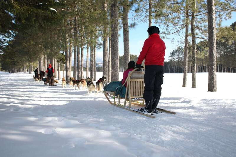 Mont-Tremblant: Guided Dogsledding Tour with Hot Chocolate - What Makes This Dogsledding Tour Special?