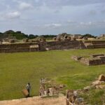 Monte Albán, Black Pottery and Alebrijes Full Day Tour. - Lunch Break: Tasting Oaxaca’s Flavors