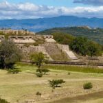 Monte Alban Tree of the Tule Mezcal and Teotitlan del Valle Tour - Transportation and Logistics