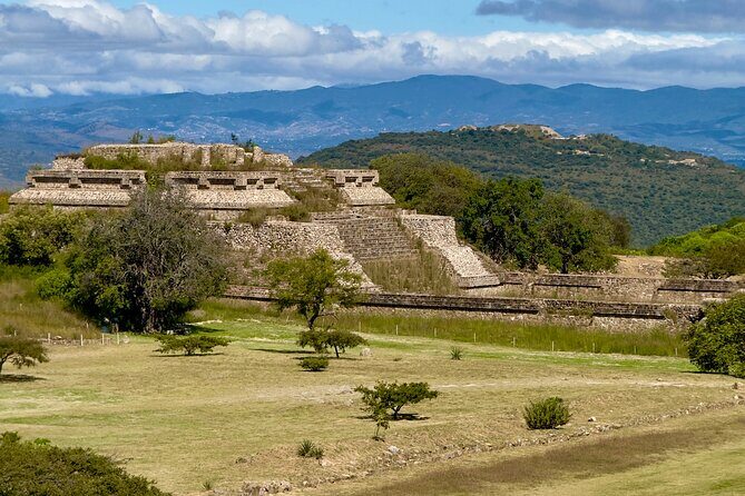 Monte Alban Tree of the Tule Mezcal and Teotitlan del Valle Tour - Transportation and Logistics