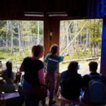 Montebello, QC: Parc Omega Wolves Experience with Cocktail & Guide - The Sum Up