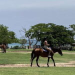 Montego Bay: Day Trip with Zipline, ATV, and Horseback Ride - Final Thoughts