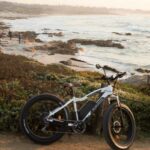 Monterey: 17-Mile Drive Guided E-Bike Tour - Who Will Love This Tour?