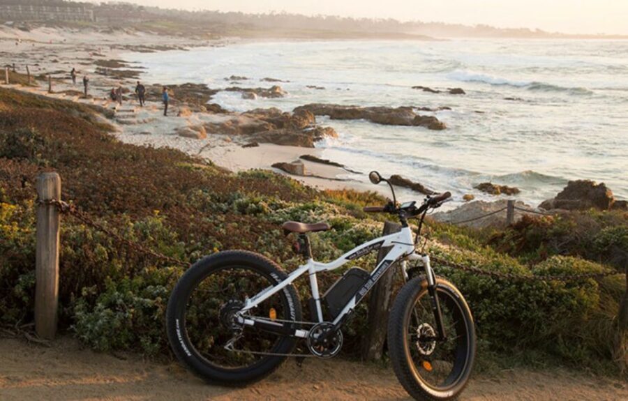 Monterey: 17-Mile Drive Guided E-Bike Tour - Who Will Love This Tour?
