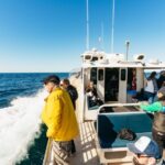 Monterey Bay: Whale Watching Tour - What You Can Expect on the Tour