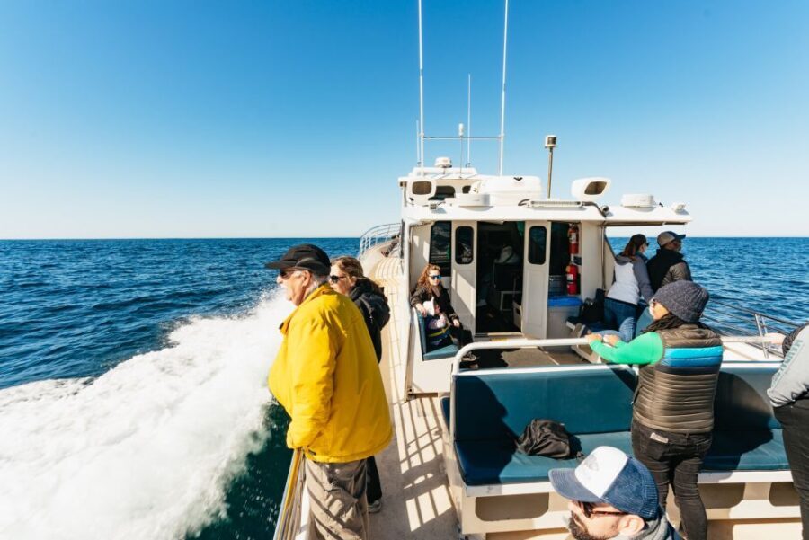 Monterey Bay: Whale Watching Tour - What You Can Expect on the Tour