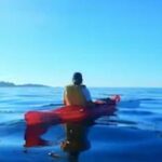 Monterey: Pebble Beach Kayak Tour - The Itinerary Breakdown