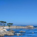 Monterey Peninsula Sightseeing Tour including 17 Mile Drive - Price and Value Analysis