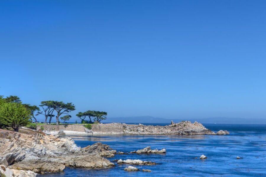 Monterey Peninsula Sightseeing Tour including 17 Mile Drive - Price and Value Analysis