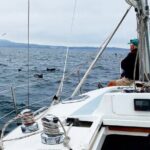Monterey Private 3 - 4 Hour Whale Watching Cruise - Why This Tour Stands Out