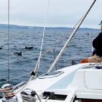 Monterey: Private Whale Watching/Sailing Tour for 6 - What Makes This Tour Special?