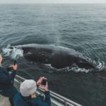 Monterey: Sunset Whale Watching Cruise with A Guide - Who Is This Tour Best For?