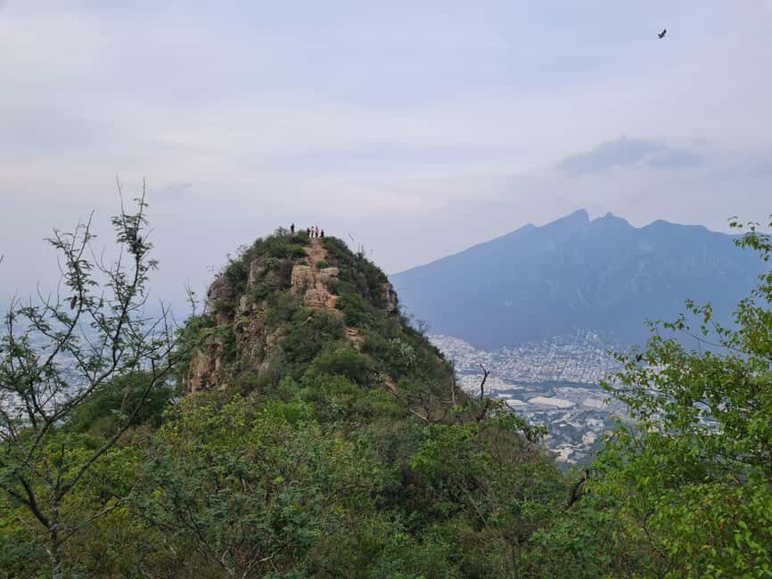 Monterrey: Pet-friendly hiking in Cerro del Chupón - What to expect on this hike