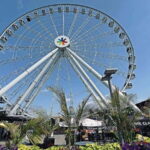 Montreal 3-Hour Private Car Tour with Expert Local Guide - Who Will Love This Tour?
