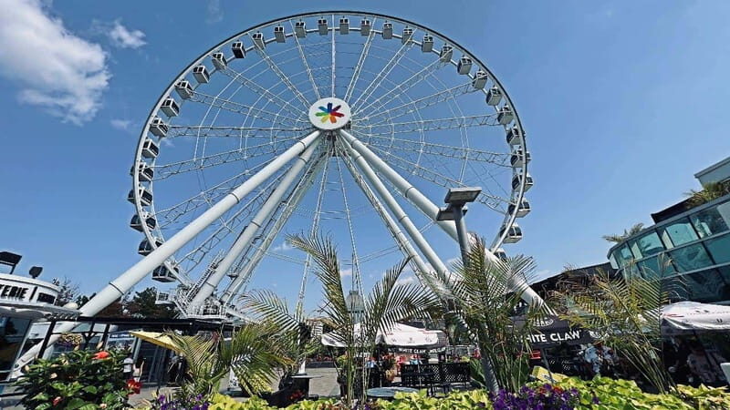 Montreal 3-Hour Private Car Tour with Expert Local Guide - Who Will Love This Tour?