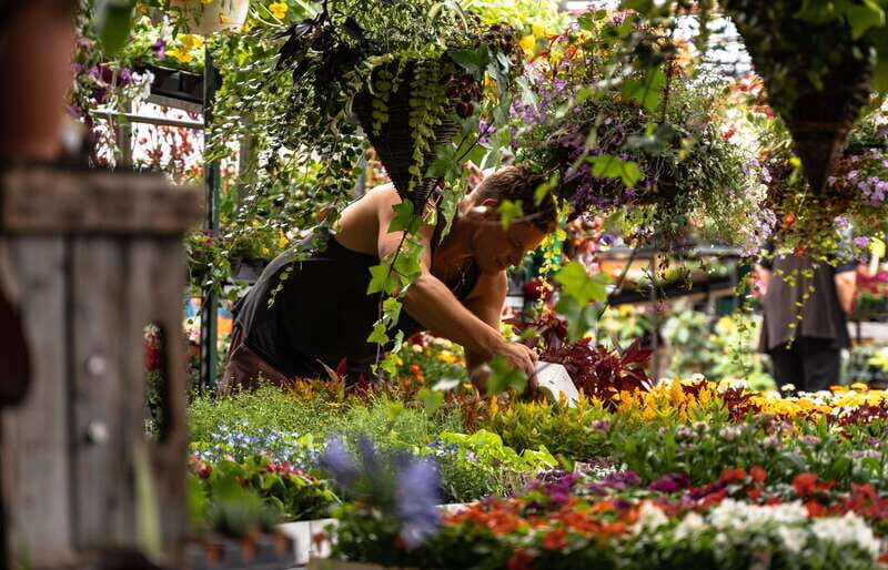 Montreal: Jean-Talon Market & Little Italy Highlights Tour - In-Depth Experience Breakdown