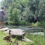 Montreal Mindfulness Walking Tour Experience - An In-Depth Look at the Montreal Mindfulness Walking Tour
