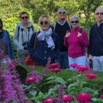 Montreal: Private custom walking tour with a guide - The Itinerary: What Stops Might You Experience?