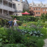 Montreal: Private Customizable Walking Tour of Old Montreal - Who Will Love This Tour?