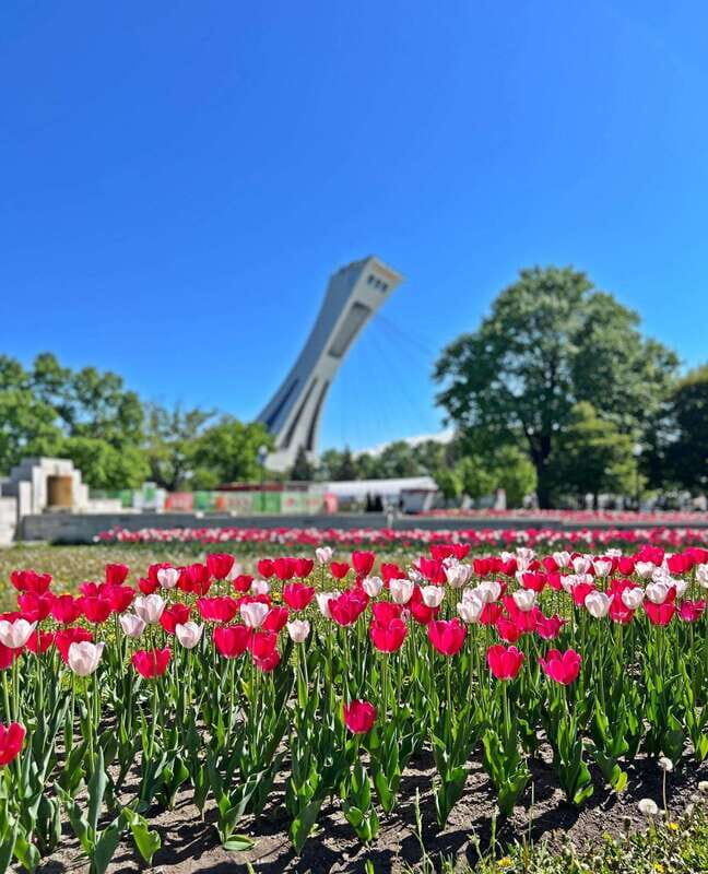 Montreal Private Walking Tour 2h Plus Video Experience 360° - Why This Tour Makes Sense for You