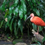 Montreal: Skip-the-line Biodome Private Tour with Tickets - What You Can Expect on This Tour