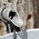 Montreal: Sugar Shack Maple Syrup Day Trip with Lunch - What We Love About This Tour