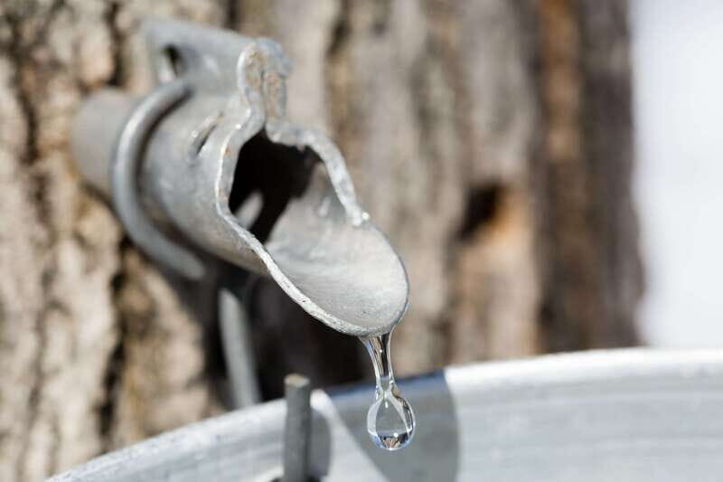 Montreal: Sugar Shack Maple Syrup Day Trip with Lunch - What We Love About This Tour