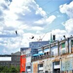 Montreal Zipline Adventure - The Experience from the Traveler’s Perspective