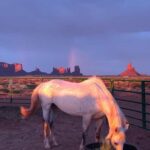 Monument Valley: Horseback Adventure Tour - Who Will Love This Tour?