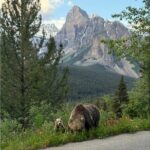 Moraine Lake, Lake Louise Afternoon Tour Half day From Banff - What Travelers Love About This Tour