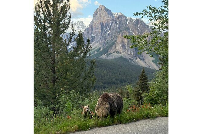 Moraine Lake, Lake Louise Afternoon Tour Half day From Banff - What Travelers Love About This Tour