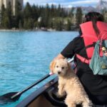 Moraine Lake Sightseeing from Samson Mall Shared Tour | On Sale! - An In-Depth Look at the Tour Experience