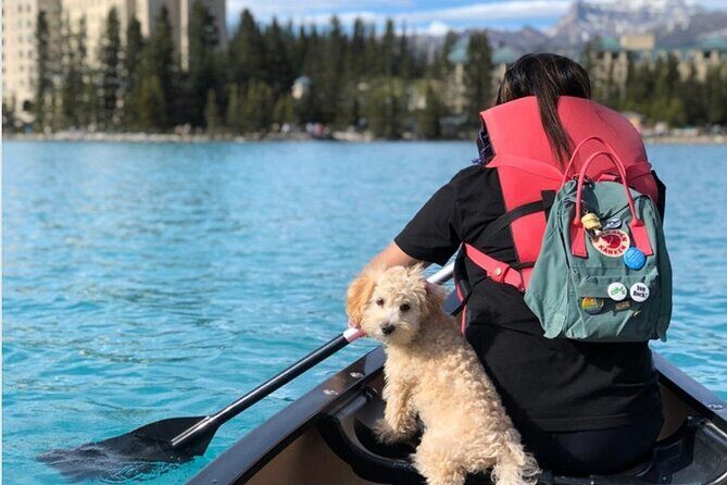 Moraine Lake Sightseeing from Samson Mall Shared Tour | On Sale! - An In-Depth Look at the Tour Experience