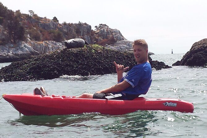 Morning Kayak & Seal Cruise - Why the Price Reflects Value