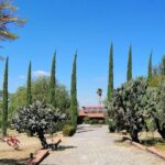 Morning Tour and Olive product tasting - What People Are Saying