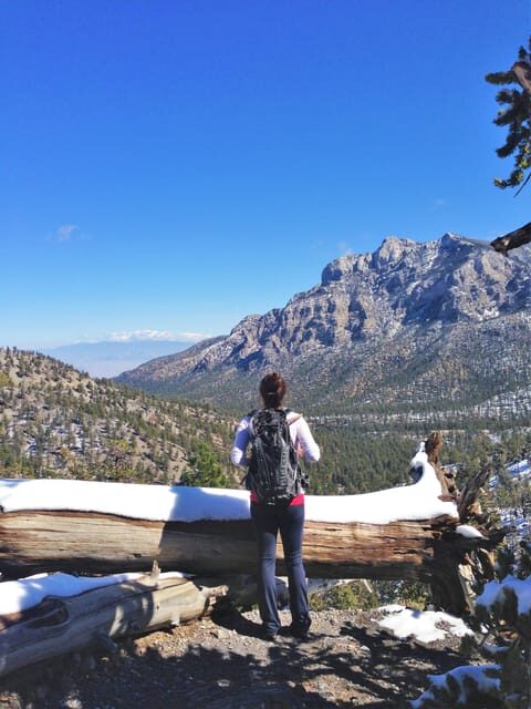 Mount Charleston Driving Adventure: Escape to Nature - Who Should Consider This Tour?