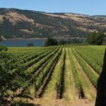 Mt Hood, Waterfalls, and Wine Tour with Tasting Fees Included - Who Will Love This Tour?