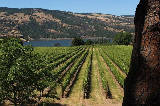 Mt Hood, Waterfalls, and Wine Tour with Tasting Fees Included - Who Will Love This Tour?