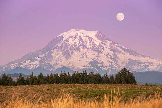 Mt. Rainier tour with Gandola ride at Sunrise and Paradise - The Practical Aspects: What You Should Know