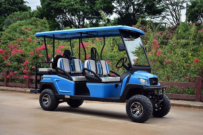Multi Day 6 Passenger LSV Golf Cart Rental - FAQs