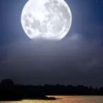 Murrells Inlet by Moonlight: Legends & Lores of the Inlet - What You Can Expect on the Tour