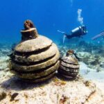 MUSA Museum and Colorful Reef 2 Tank Dive-Certified Divers - Why This Tour Offers Great Value