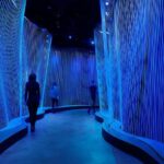 Museum of the Bible Admission Ticket - Cost and Value