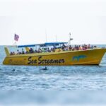 Myrtle Beach: Dolphin Cruise on the Sea Screamer - The Itinerary: A Well-Balanced Mix of Sightseeing and Adventure
