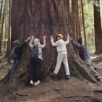 Mystical Rainforest Tour - Forest Magick - Who Will Love This Tour?