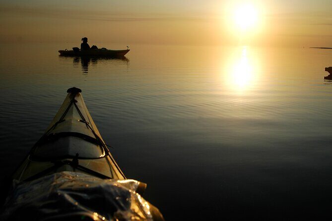 Nags Head Kayak Tour - The Sum Up