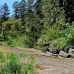 Nanaimo Urban Oasis Trail Walking Tour - Who Will Love This Tour?