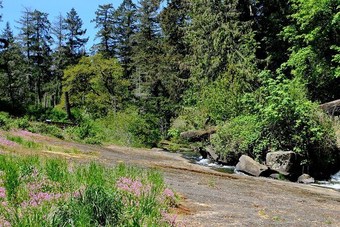 Nanaimo Urban Oasis Trail Walking Tour - Who Will Love This Tour?